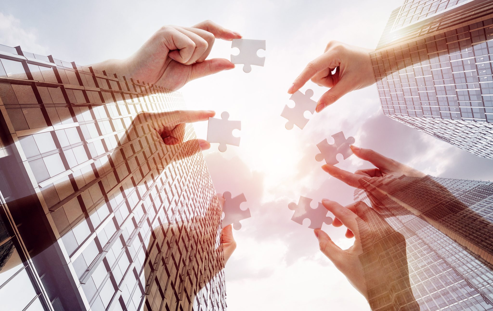 Leading the new course of foreign trade: innovation drives openness and ...